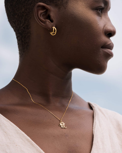 Chinese Zodiac Necklace - Dragon | Linjer Jewelry